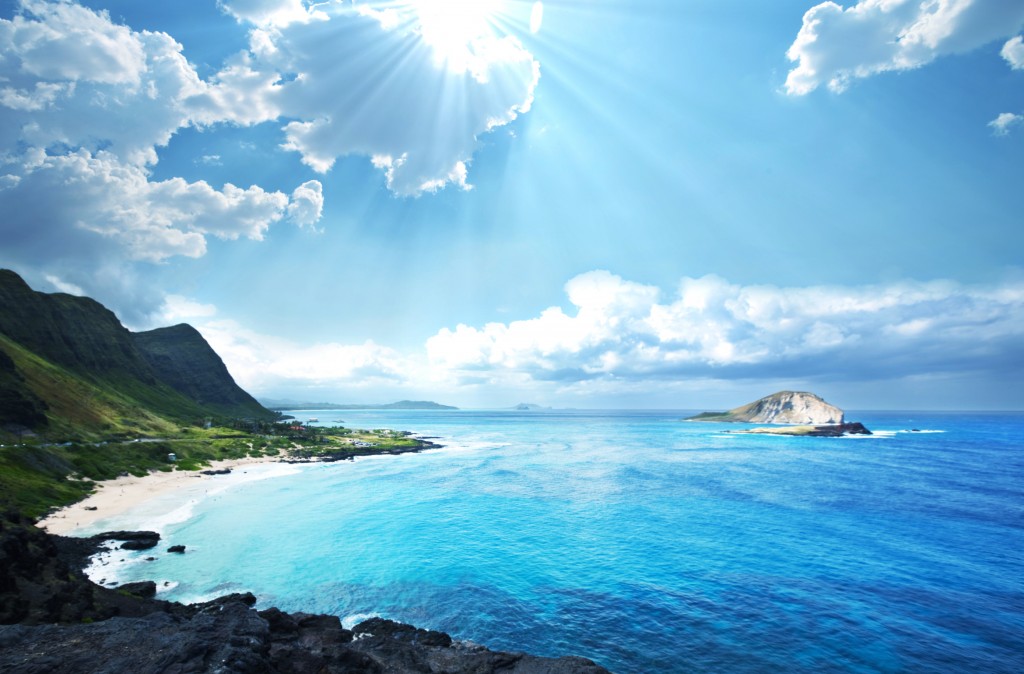 Join our Earth Vision Alliance – Earth Vision Foundation
